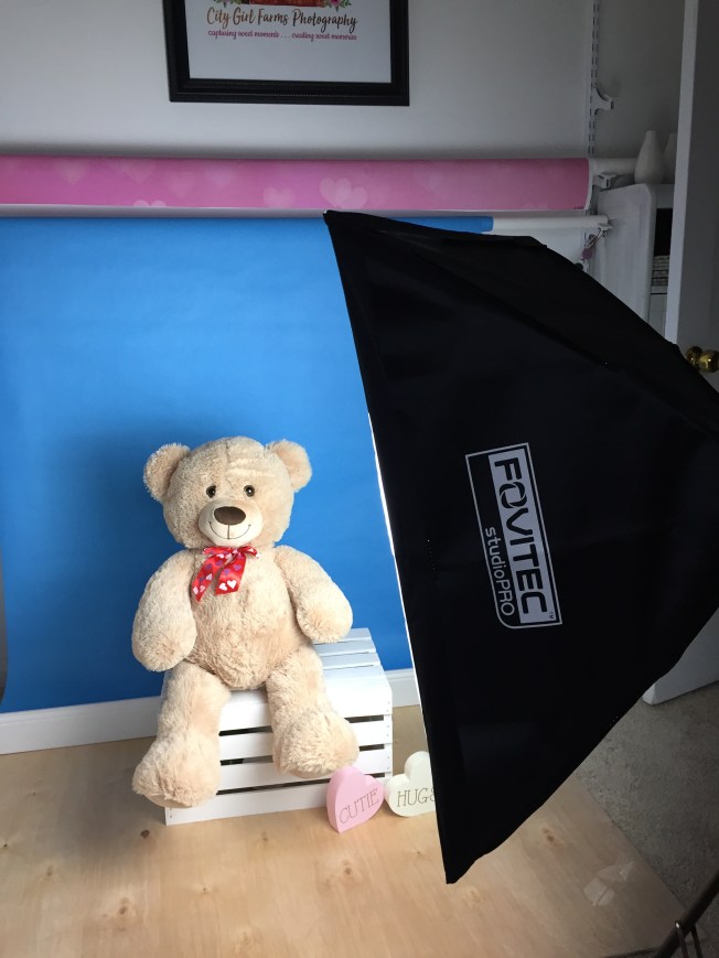 Fovitec Softbox | Country Girl